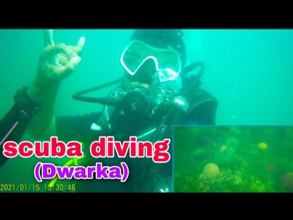 Dive into Adventure: Scuba Diving in Dwarka - Price, Location, Map ...